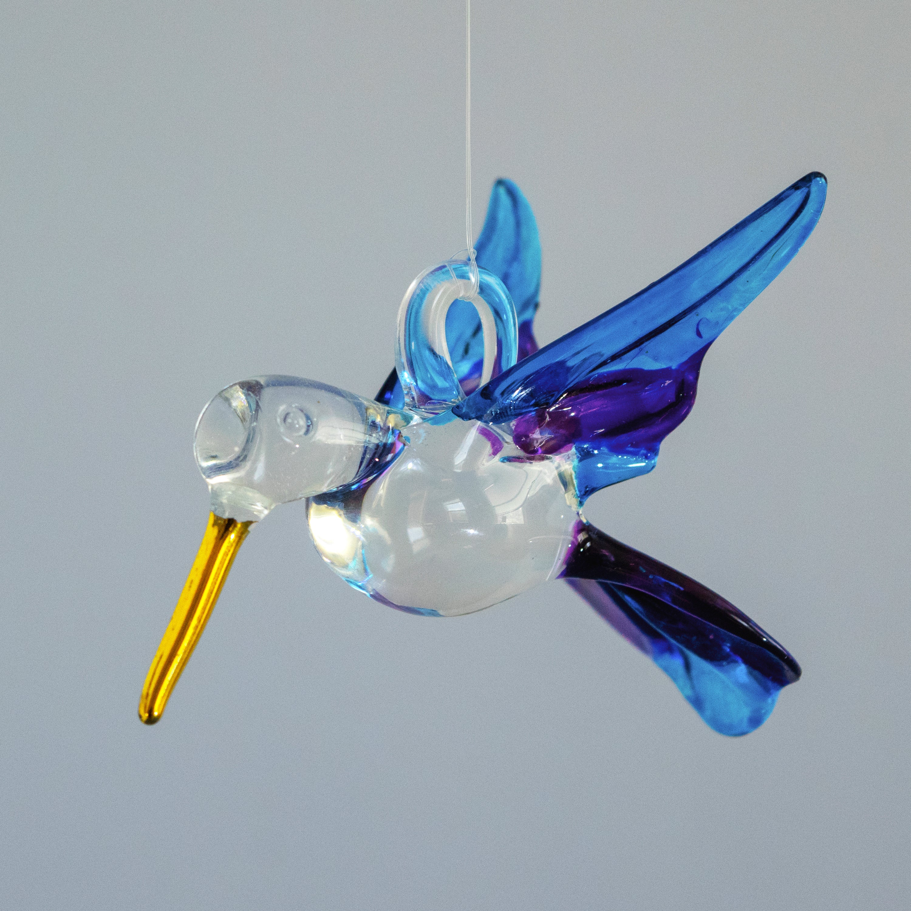 Blue and Purple Prism Hummingbird – Wholesale Hummingbirds